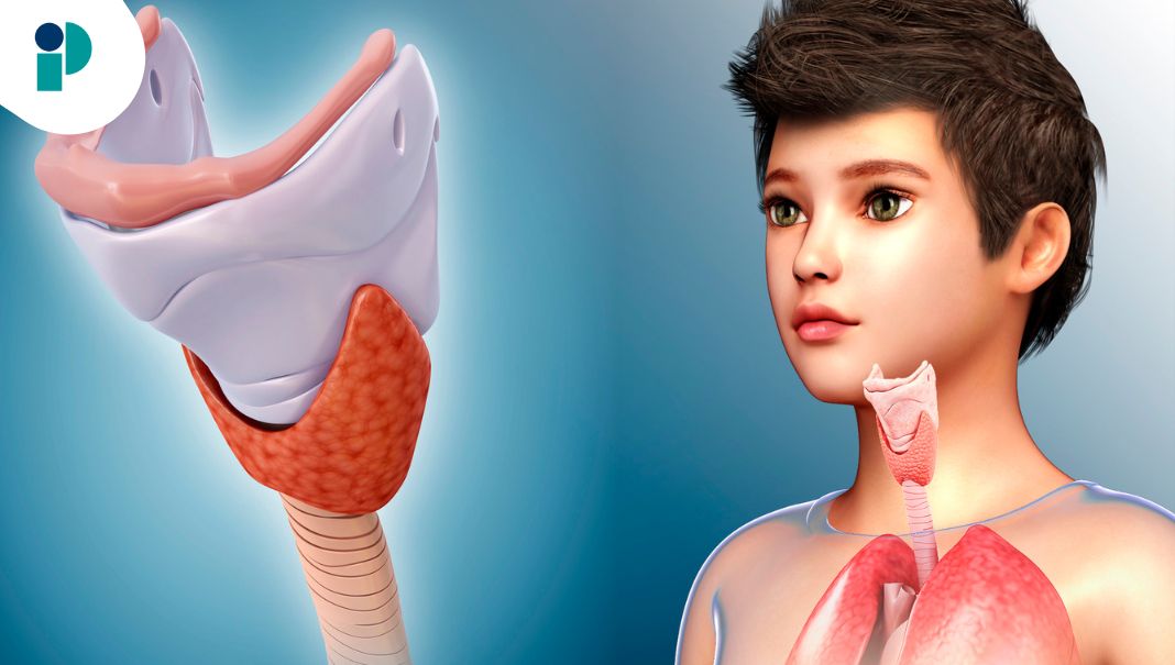 Caso poco común de hiperparatiroidismo primario por adenoma ...