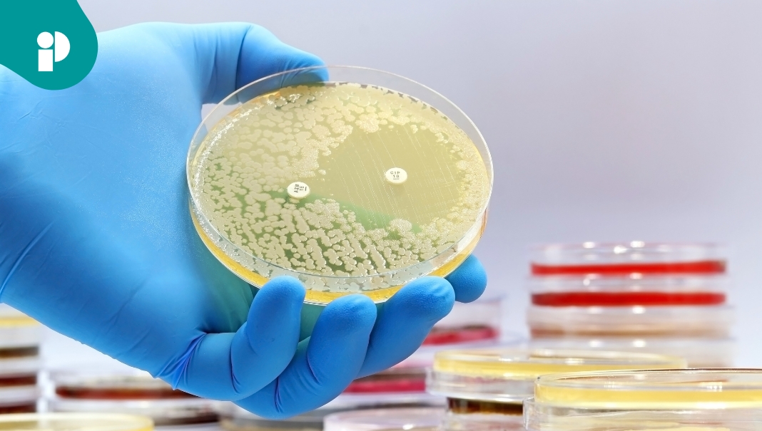 FDA aprueba EMBLAVEO™ para infecciones intraabdominales con opciones ...