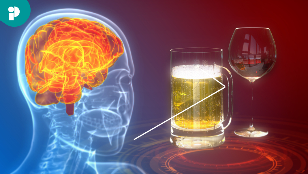 ¿Cómo afecta realmente el alcohol a nuestra mente? Nuevo estudio lo ...